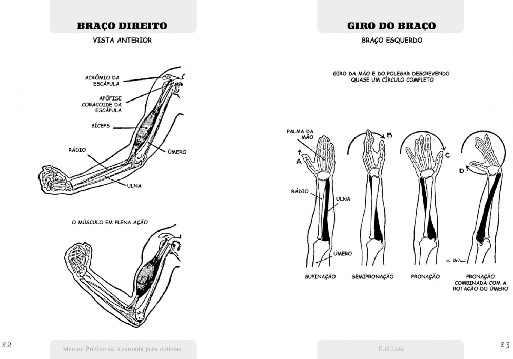 Manual Prático de Anatomia para Artistas Manual Prático de Anatomia para Artistas
