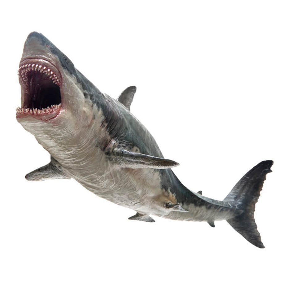 MEGALODON TUBARÃO PRÉ-HISTÓRICO ESTATUETA PNSO