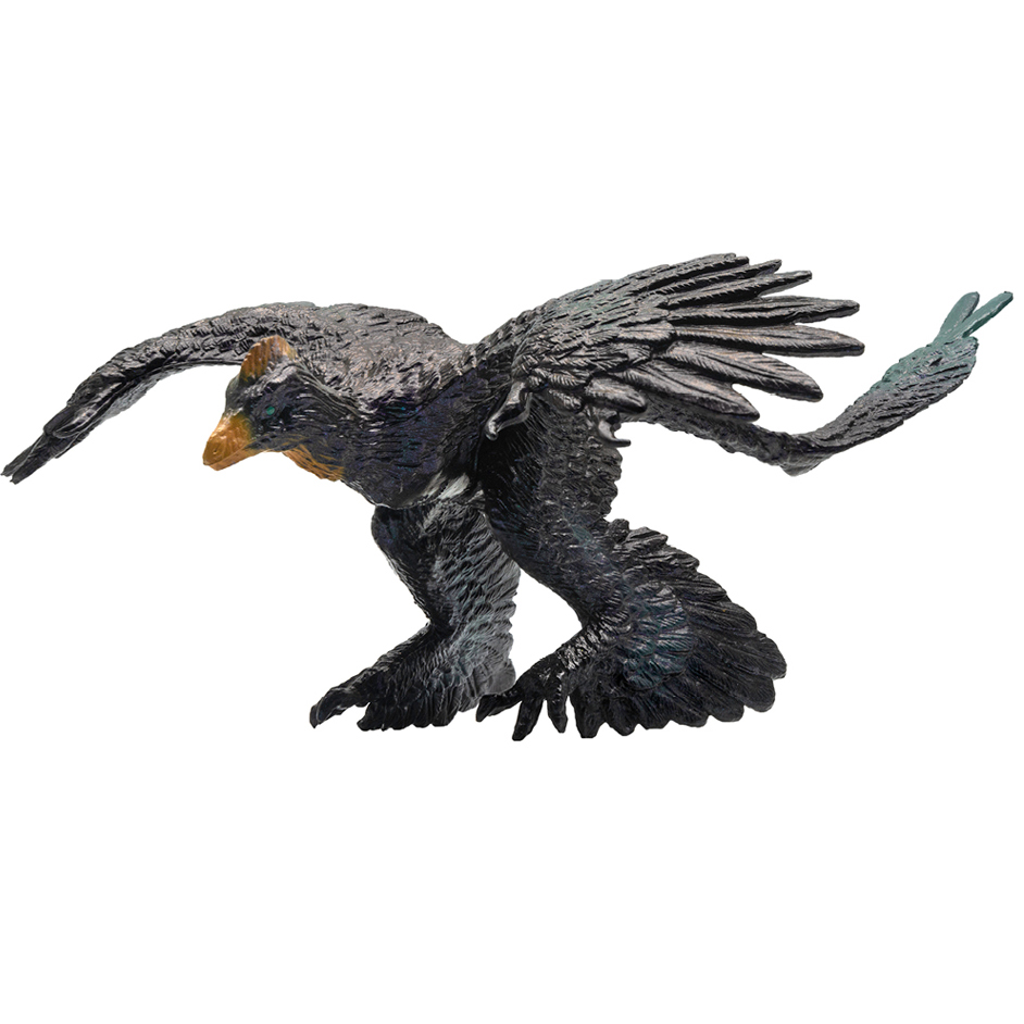 MICRORAPTOR DINOSSAURO PNSO
