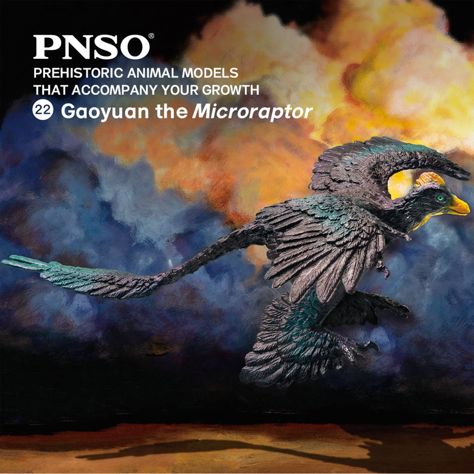 MICRORAPTOR DINOSSAURO PNSO