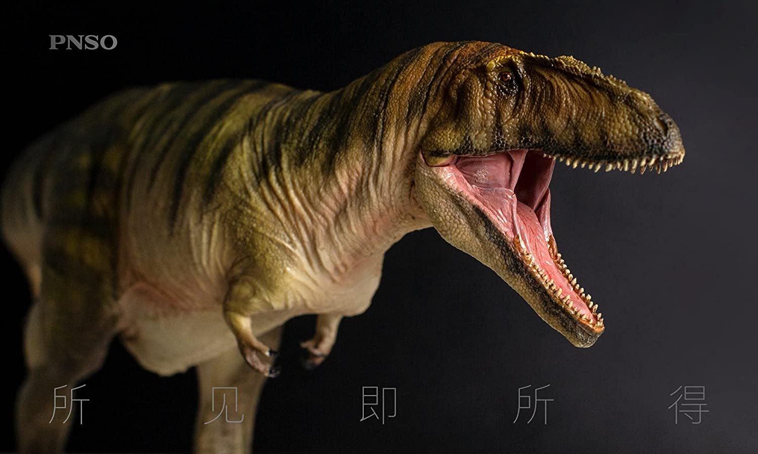 Carcarodontossauro Dinossauro Carcharodontosaurus de Brinquedo ...