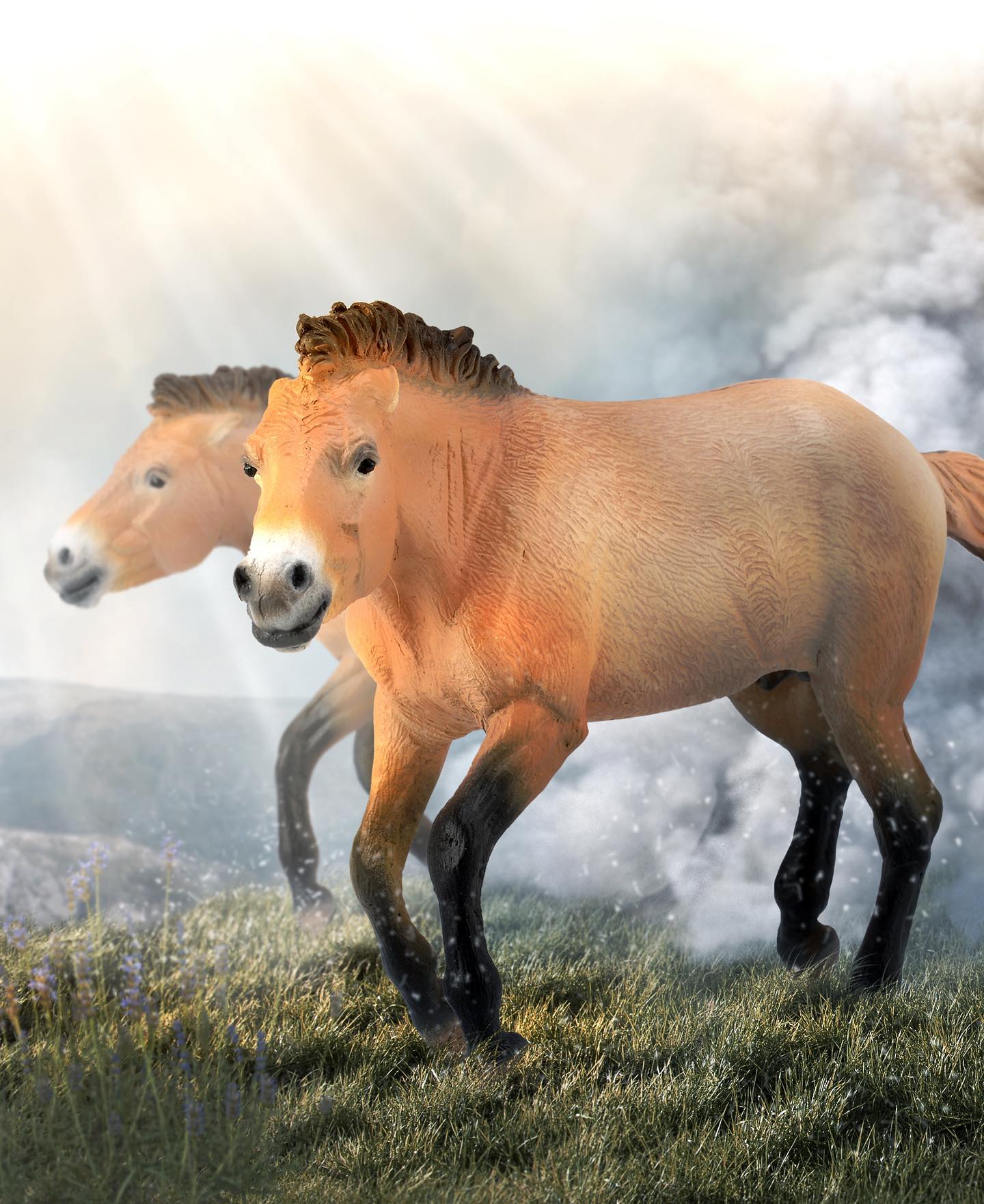 CAVALO-DE-PRZEWALSKI EQUINO SELVAGEM COLLECTA