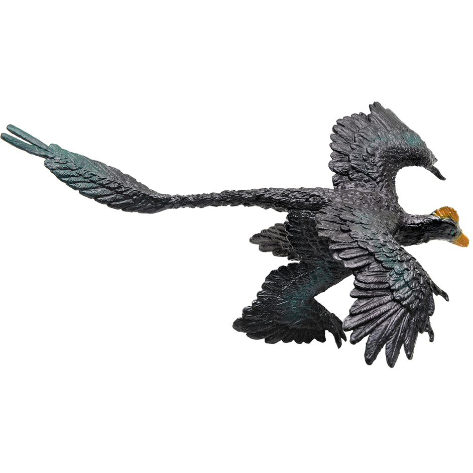 MICRORAPTOR DINOSSAURO PNSO