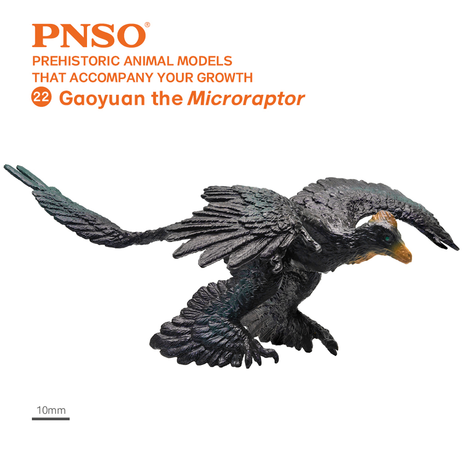 MICRORAPTOR DINOSSAURO PNSO
