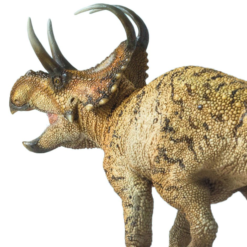 MACHAIROCERATOPS DINOSSAURO PNSO