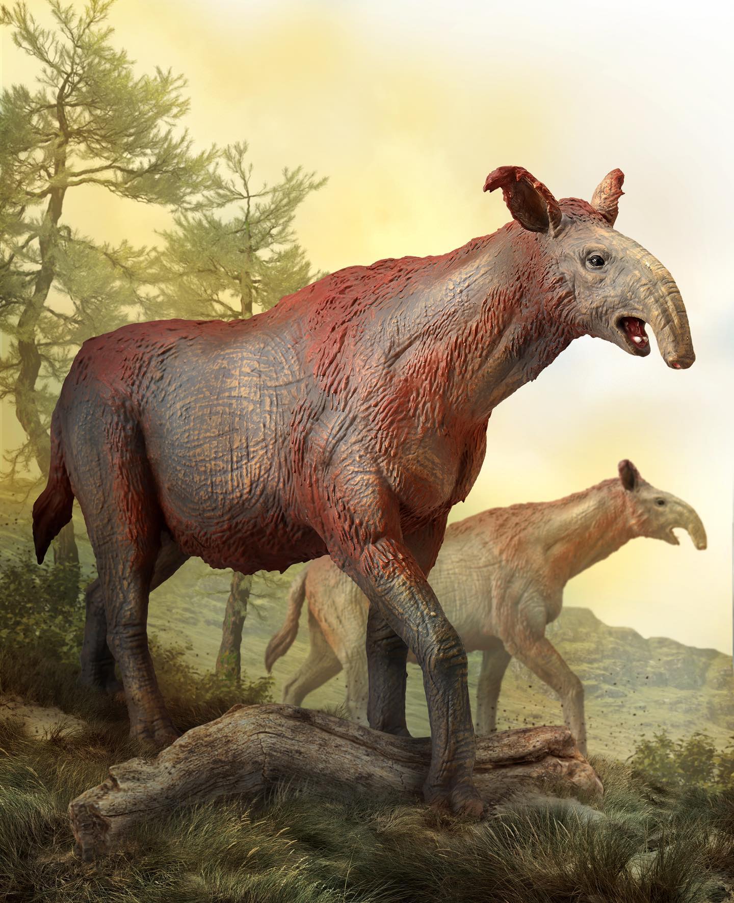 PARACERATHERIUM MAMÍFERO COLLECTA DELUXE