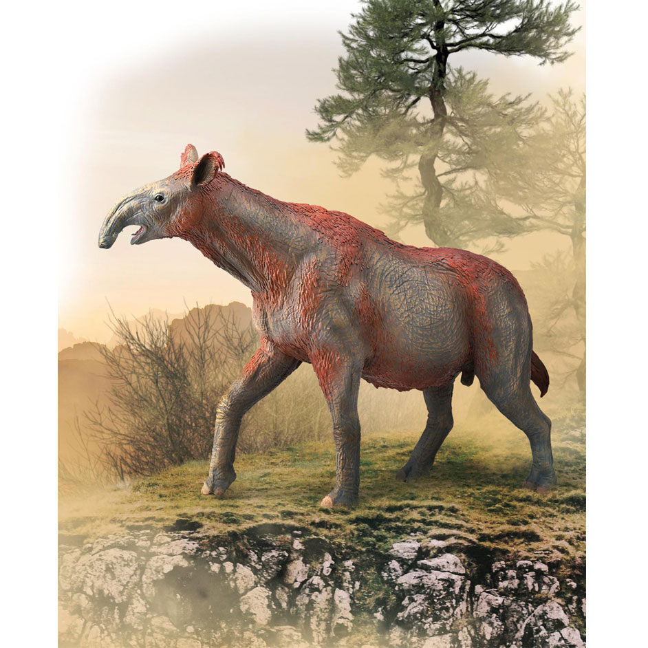 PARACERATHERIUM MAMÍFERO COLLECTA DELUXE