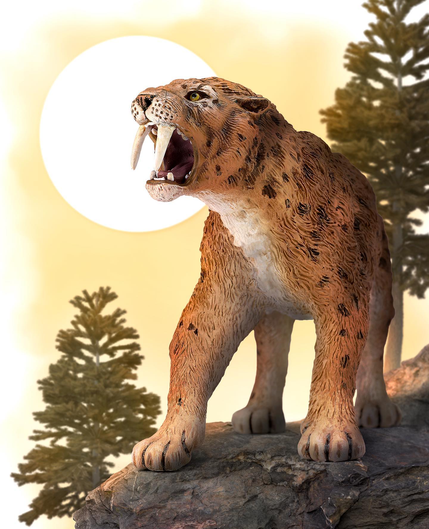 Smilodon Tigre Dentes-de-sabre Collecta. Encontre réplica colecionável ...