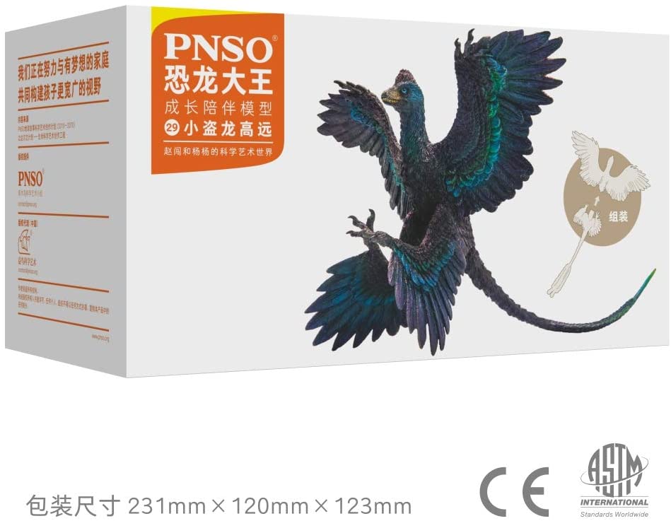 MICRORAPTOR DINOSSAURO PNSO