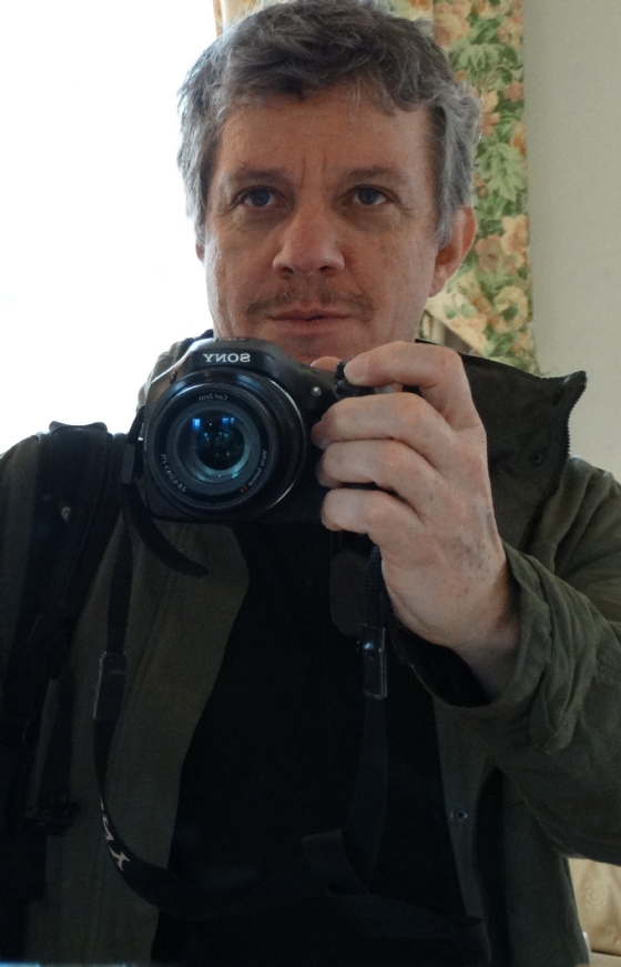 Terra anfíbia e outros contos, de Romualdo de Andrade