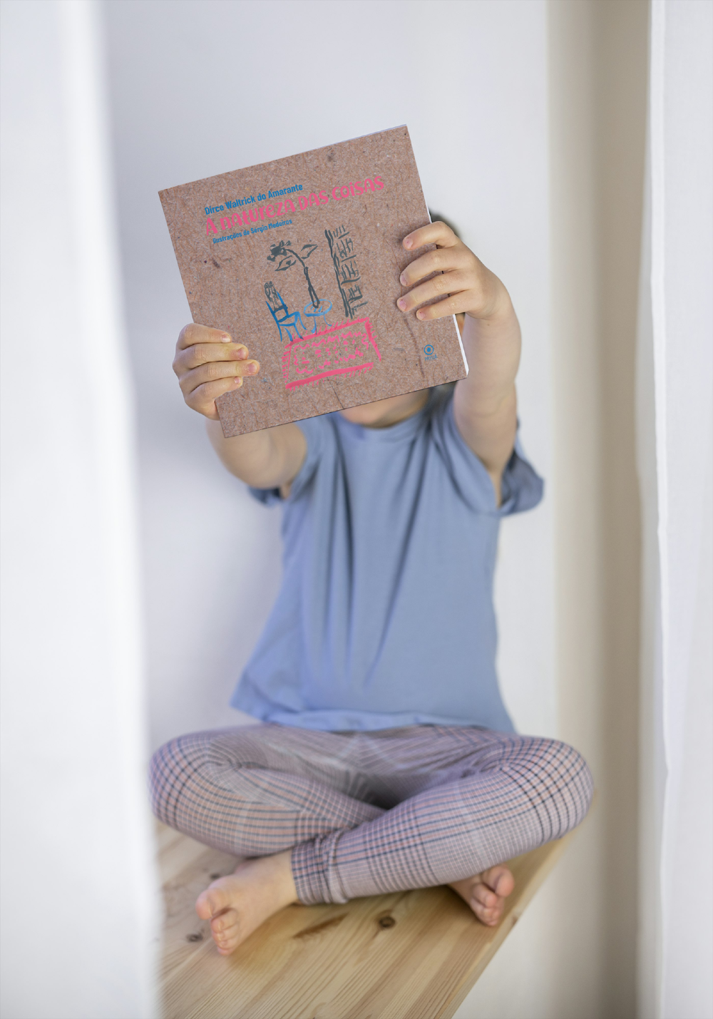 A natureza das coisas, contos de Dirce Waltrick do Amarante ...