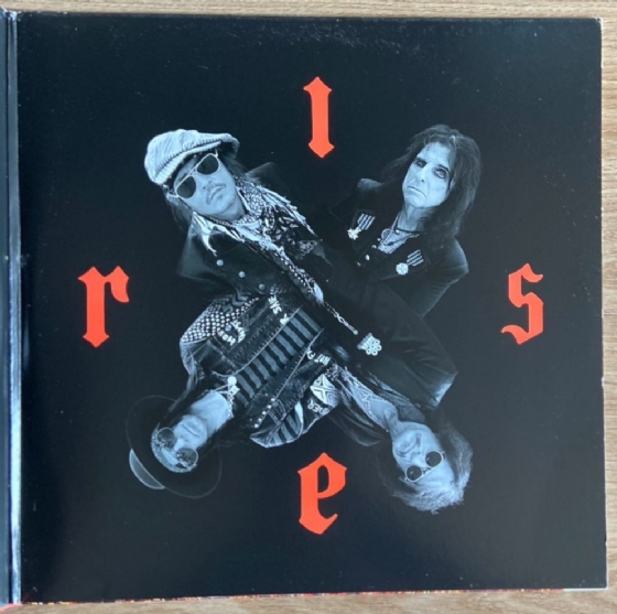 Disco De Vinil Usado - Hollywood Vampires - Rise Lp Duplo 180g