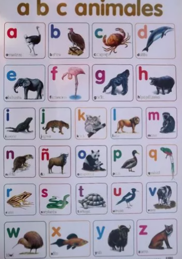 Poster Abc con animales