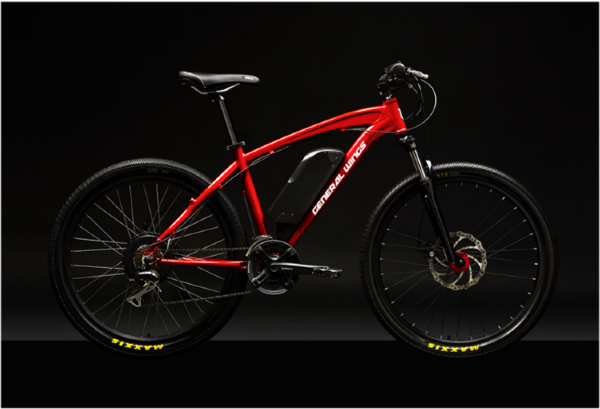 bicicleta elétrica general wings 3TOROS - 350W