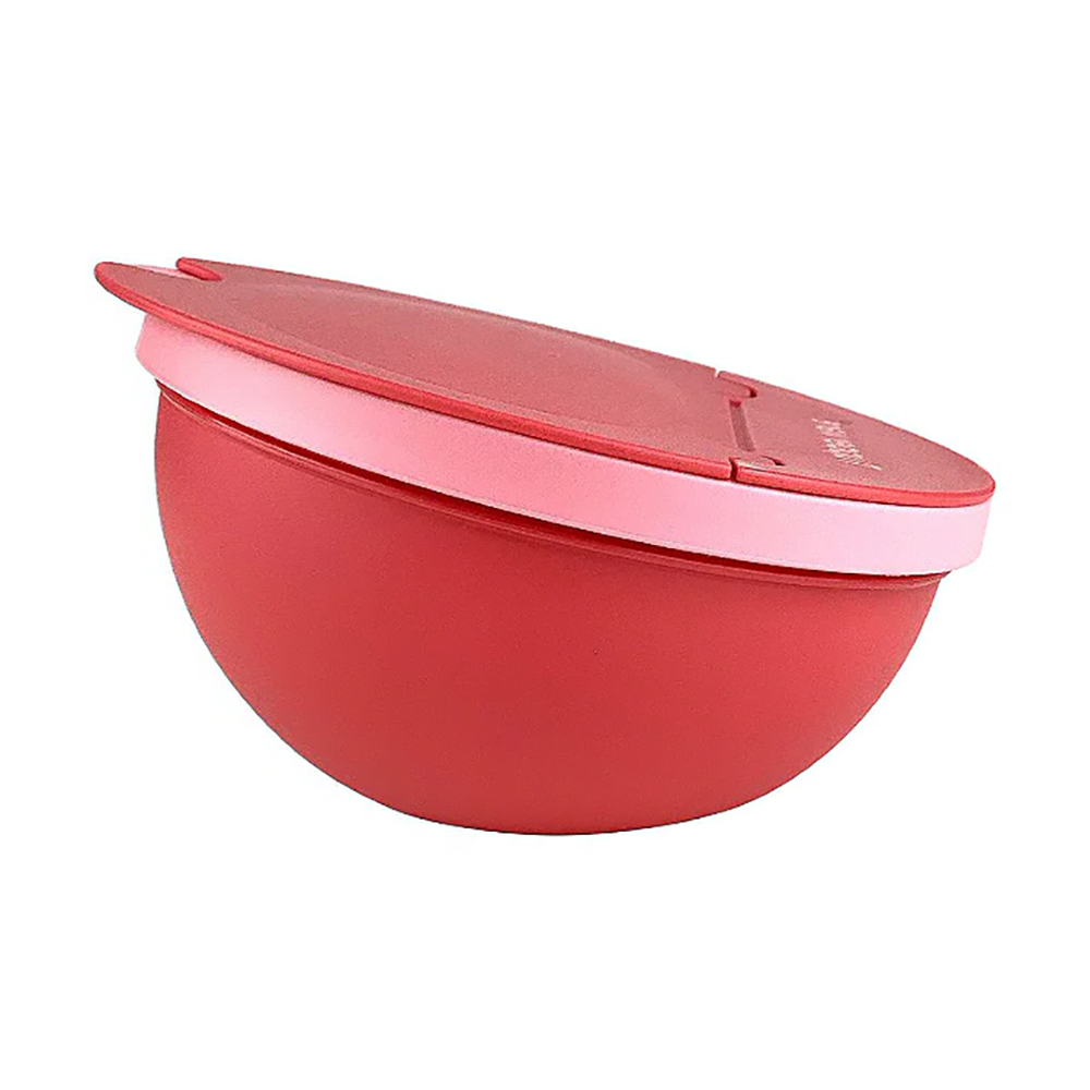 Saleiro Framboesa Tupperware 300 ml