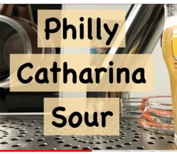 Kit Catharina Sour com Philly Sour Robinho Beer